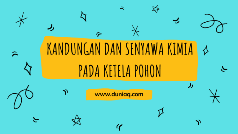 Apa Manfaat Ketela Pohon? Berikut Penjelasan Lengkapnya