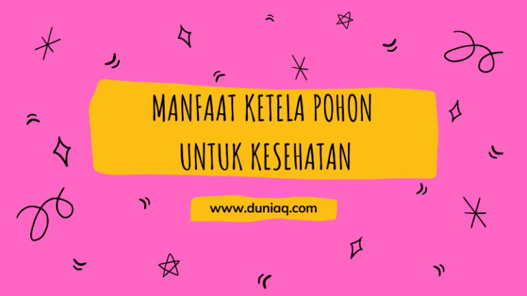 Apa Manfaat Ketela Pohon? Berikut Penjelasan Lengkapnya