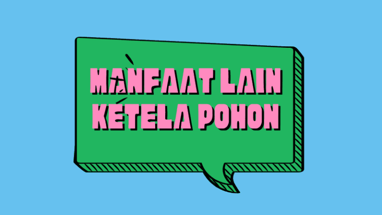 Apa Manfaat Ketela Pohon? Berikut Penjelasan Lengkapnya